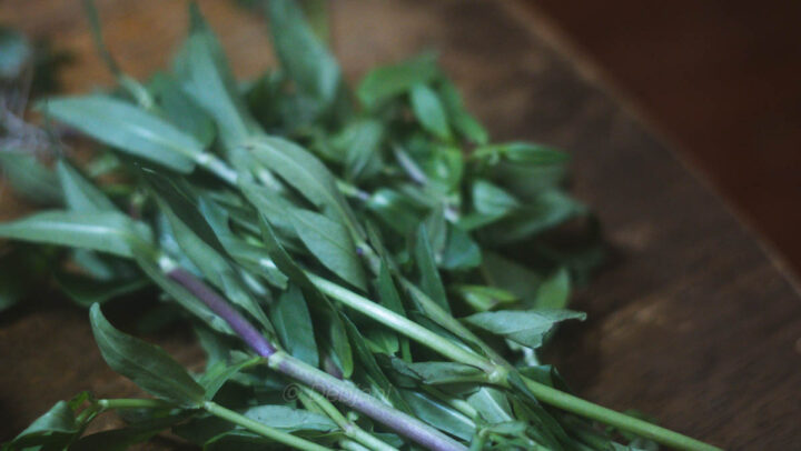 Choddo Shak Recipe with Video Debjanir Rannaghar