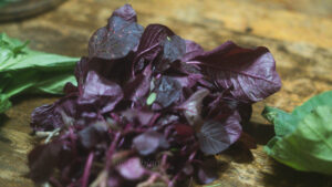 Choddo Shak Recipe with Video Debjanir Rannaghar