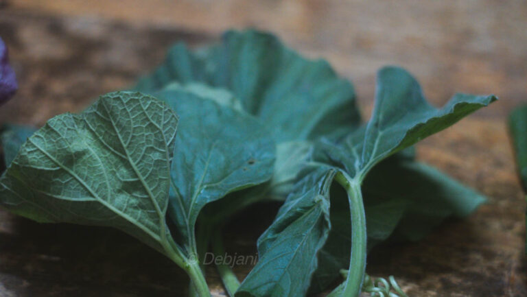 Choddo Shak Recipe with Video Debjanir Rannaghar