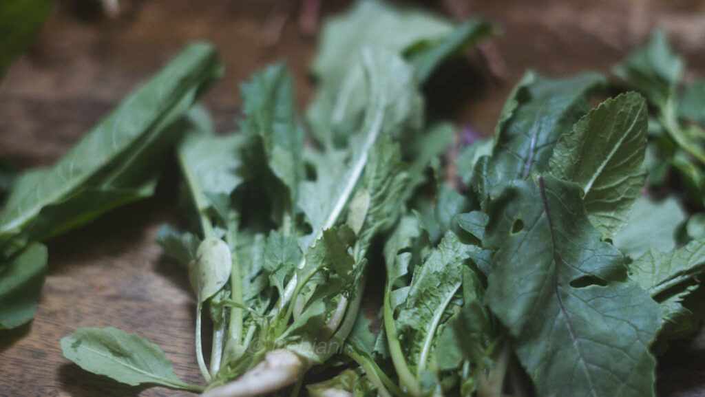 Choddo Shak Recipe with Video Debjanir Rannaghar