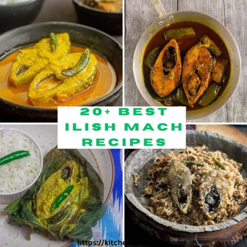 Bhetki Begum Bahar Recipe Debjanir Rannaghar